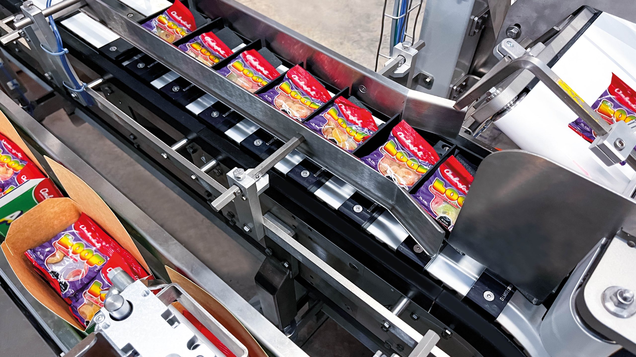 Turnkey Packaging Solution for Snack Bags – Case Study - CT Pack